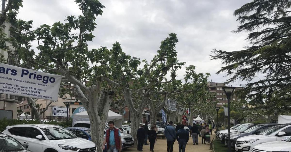 Borges Motor ven més de quaranta cotxes en la primera edició