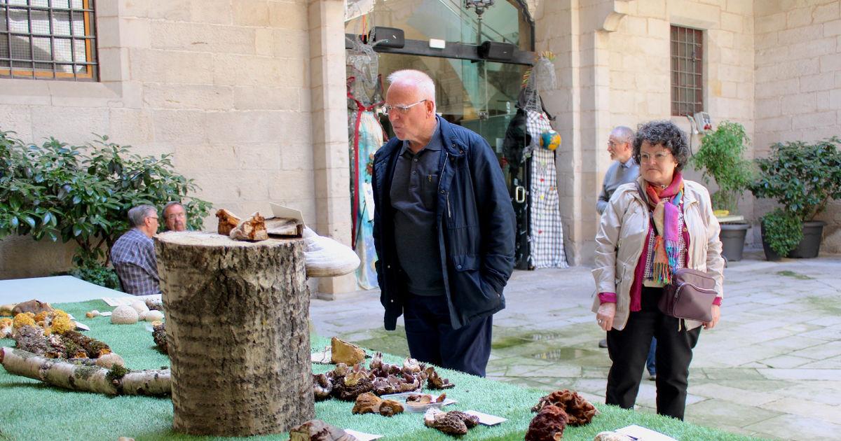 L'IEI acull la XXVI Mostra de Bolets de Primavera de Lleida