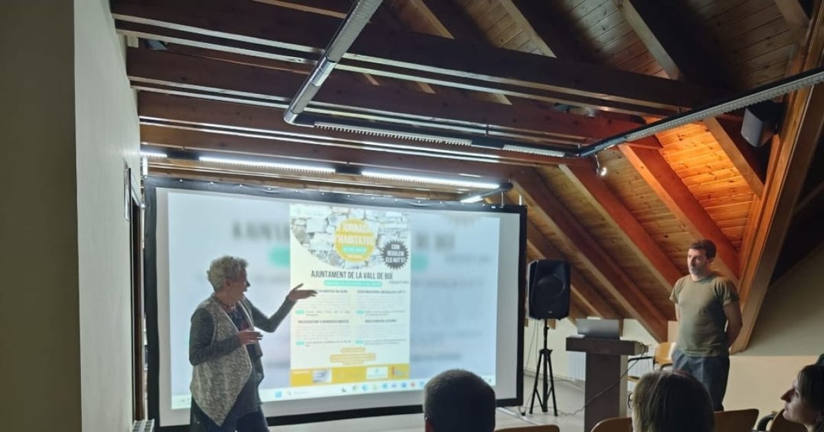 Solo un 17,5% de las viviendas de La Vall de Boí son primeras residencias