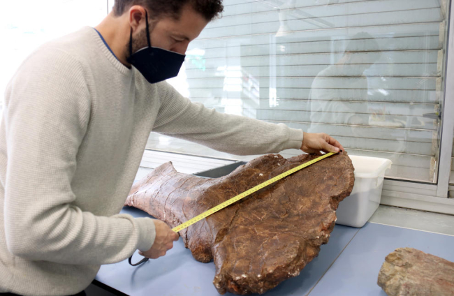 Así era el mayor dinosaurio de Europa