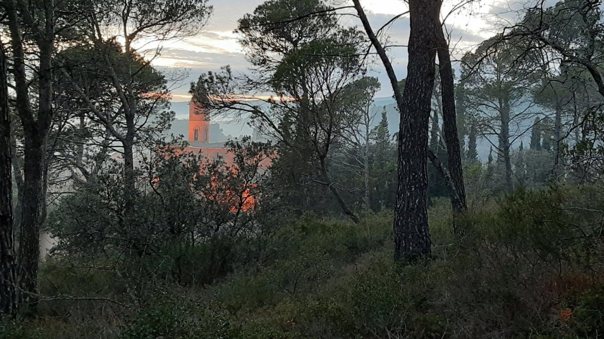 El valioso legado escondido en un monasterio de Lleida