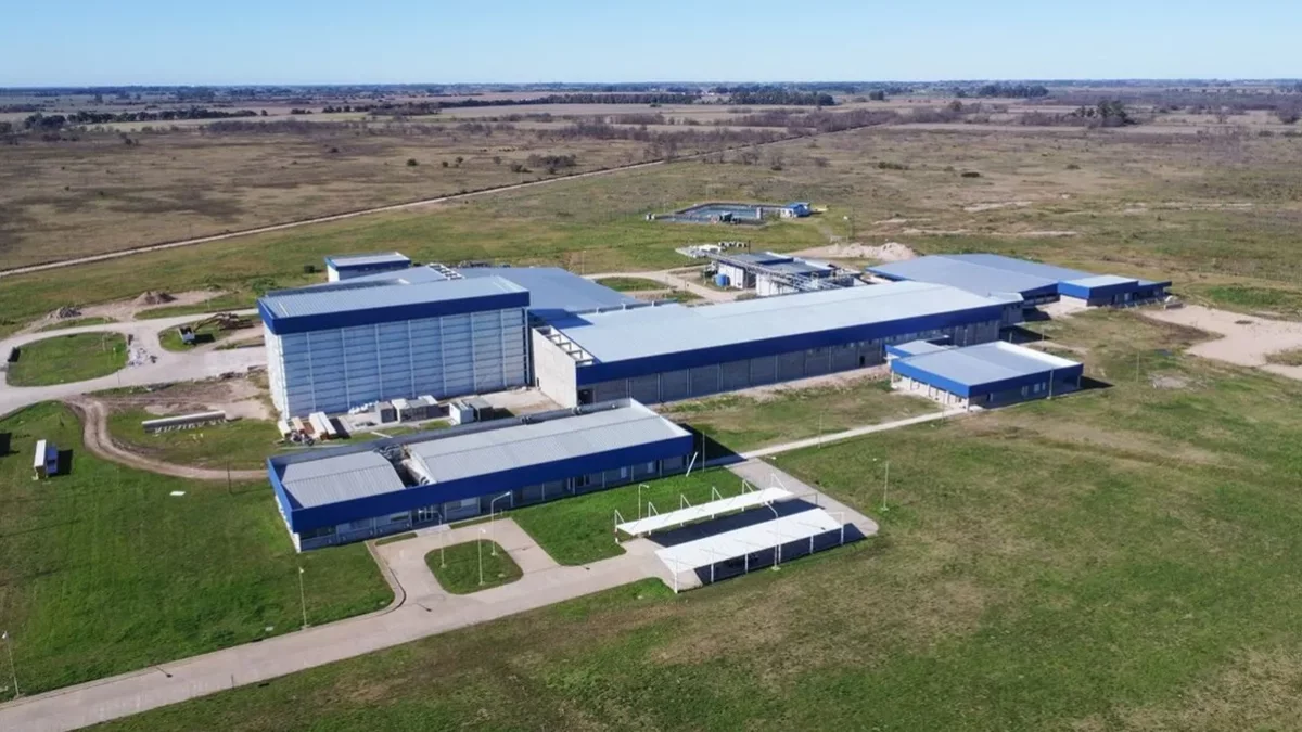 Aliança de Vall Companys amb el grup argentí Pacuca