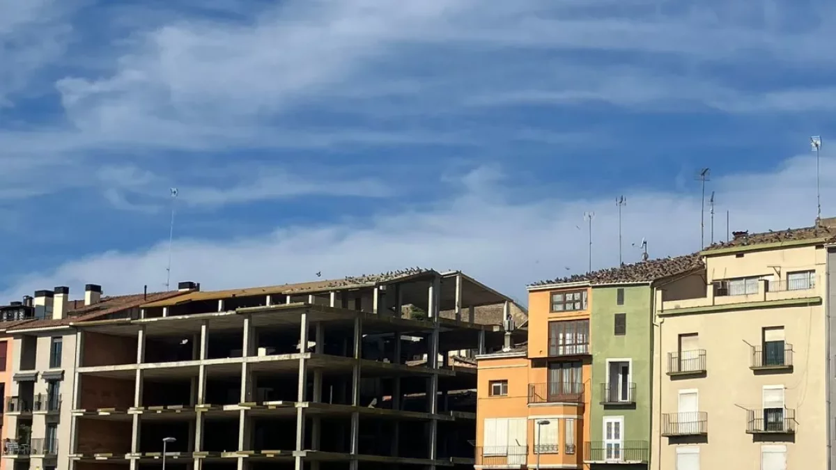 Red automática para cazar más palomas en Balaguer