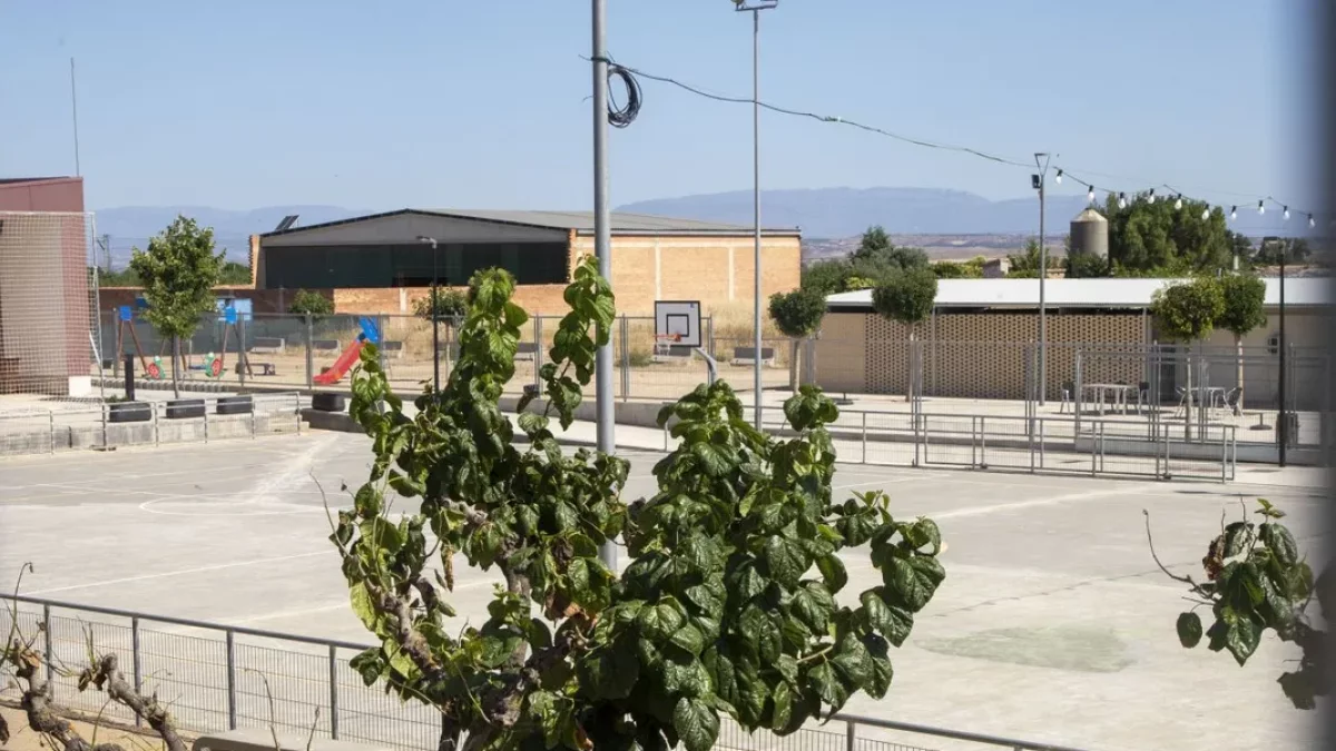 Pista de pádel y pump truck en Vilagrassa