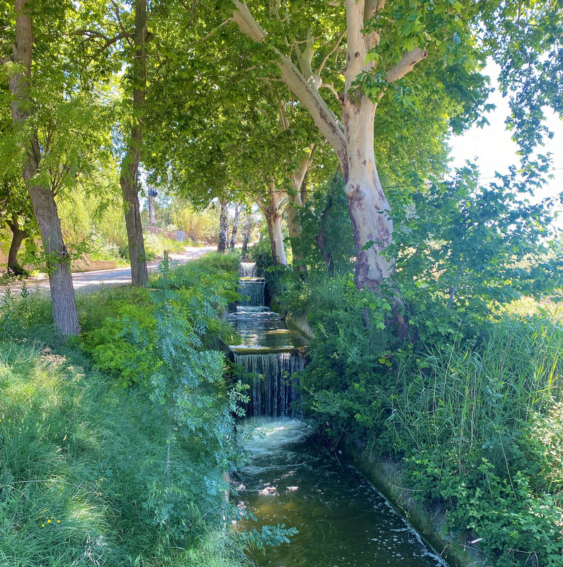 Descobreix els encants dels Nou Salts: una excursió refrescant prop de ...