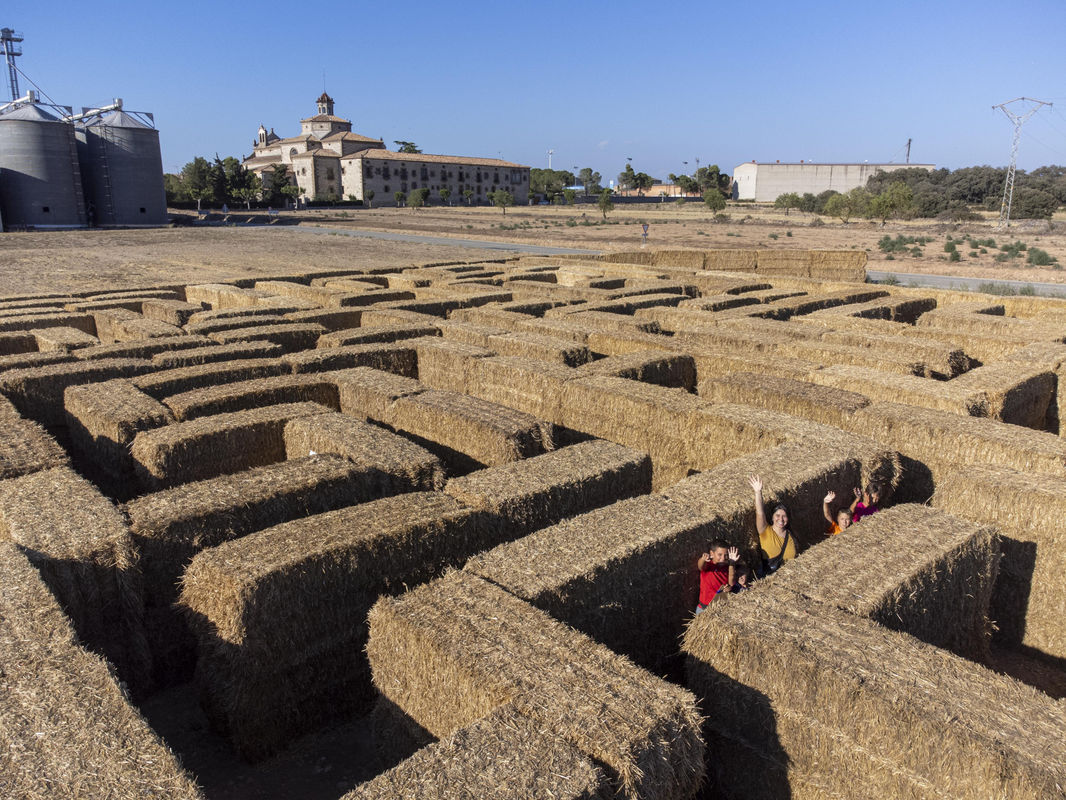 Abre las puertas el laberinto gigante de la Segarra, hecho con más de ...