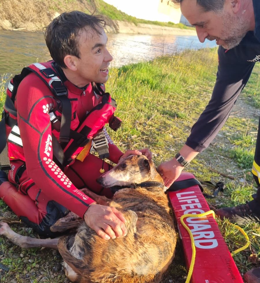 SEGRE - Líder digital en las comarcas de Lleida